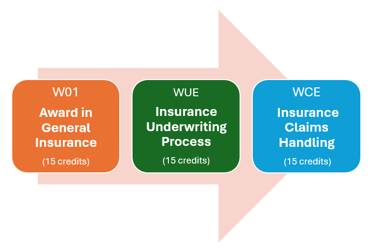 Certificate In Insurance (Cert. CII ™) from the Chartered Insurance ...